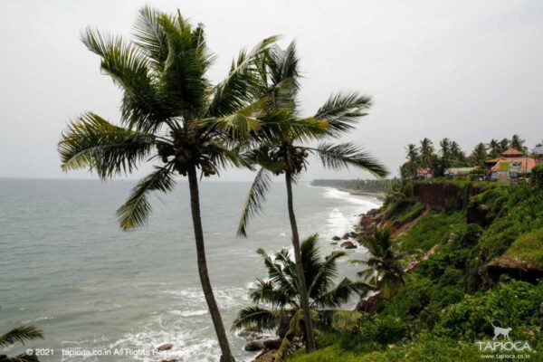 How to Reach Varkala from Bangalore?